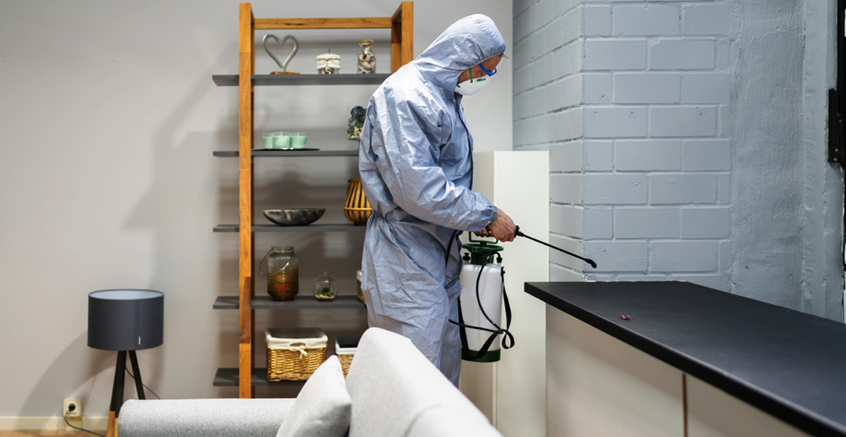 How to do Home Termite Control?