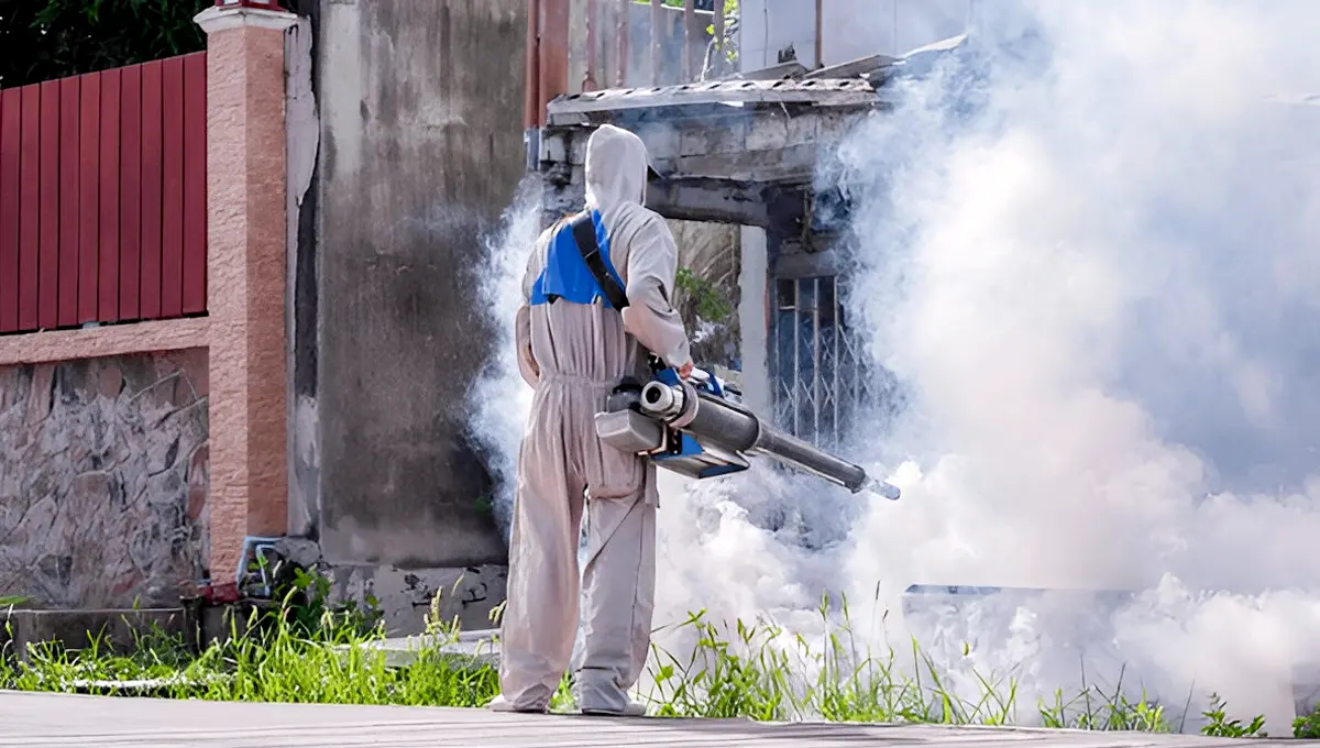 How to Remove Mosquito | Zap It Pest Control Melbourne